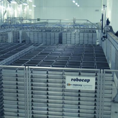 Capway Depanning systems | Capway Automation